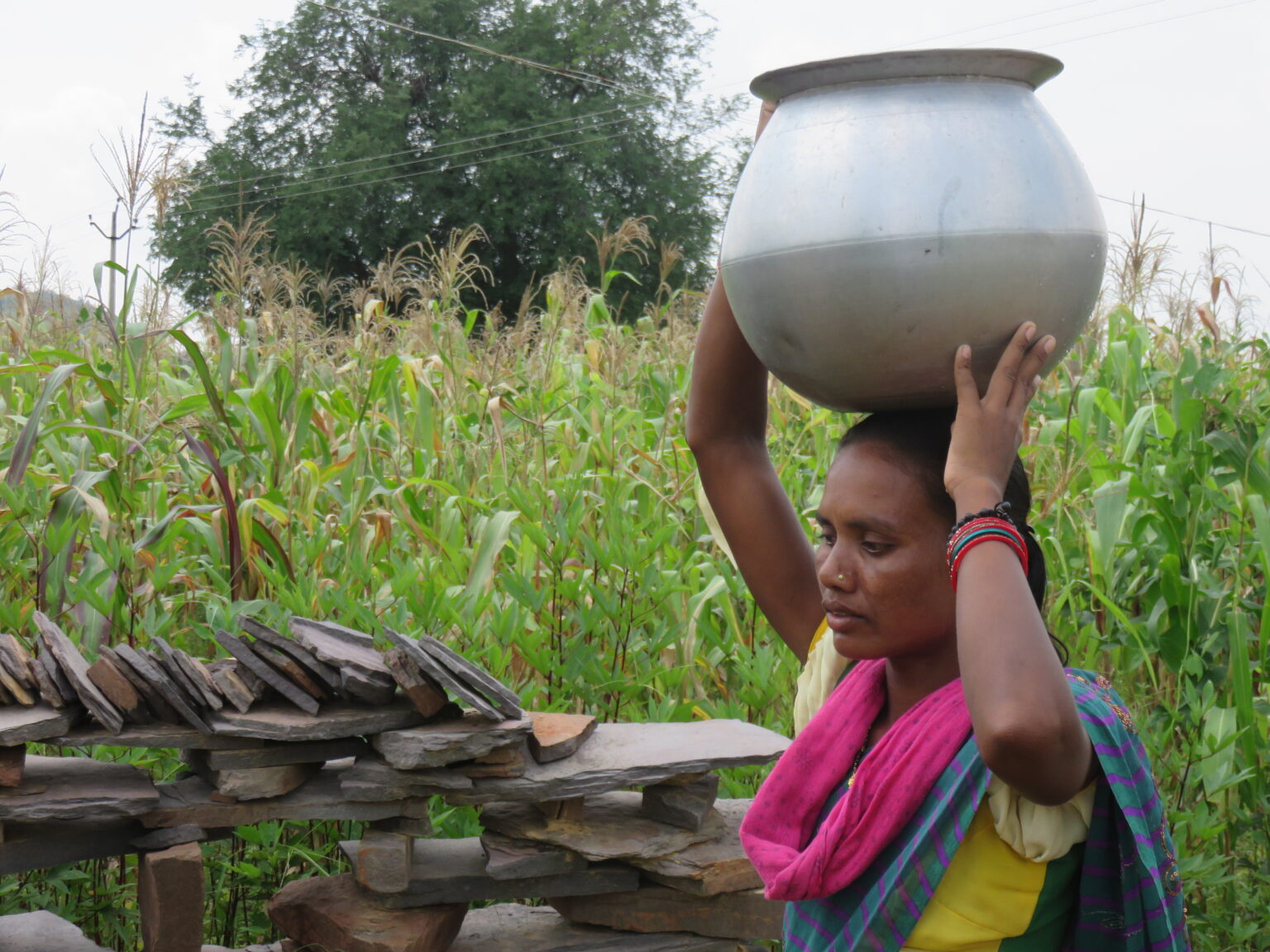 Programs – Sagar Jyoti Sikhya Niketan